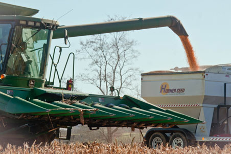 Hubner Seed